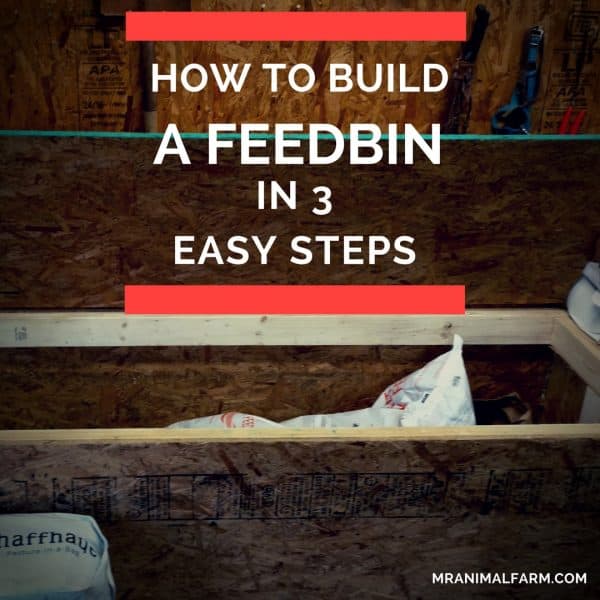 How to Build a Feed Bin - with 3 Easy Steps! - Mranimal Farm