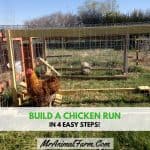 How to Build a Chicken Run in 4 Easy Steps - Mranimal Farm