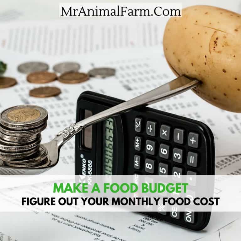 Food Budget How To Figure Out Your Average Food Cost Per Month Food Budget How To Figure Out Your Average Food Cost Per Month