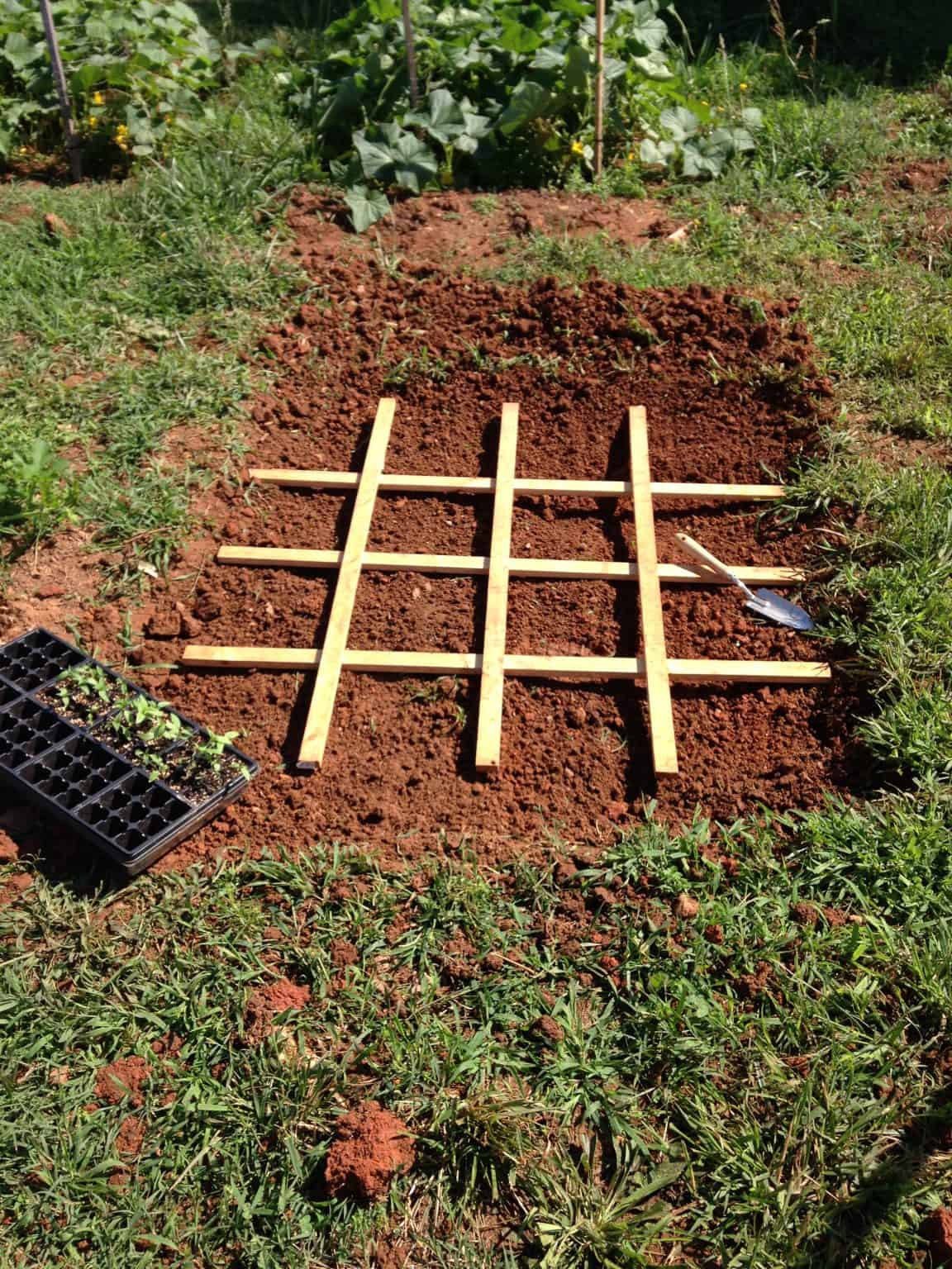Square Foot Gardening - Mranimal Farm