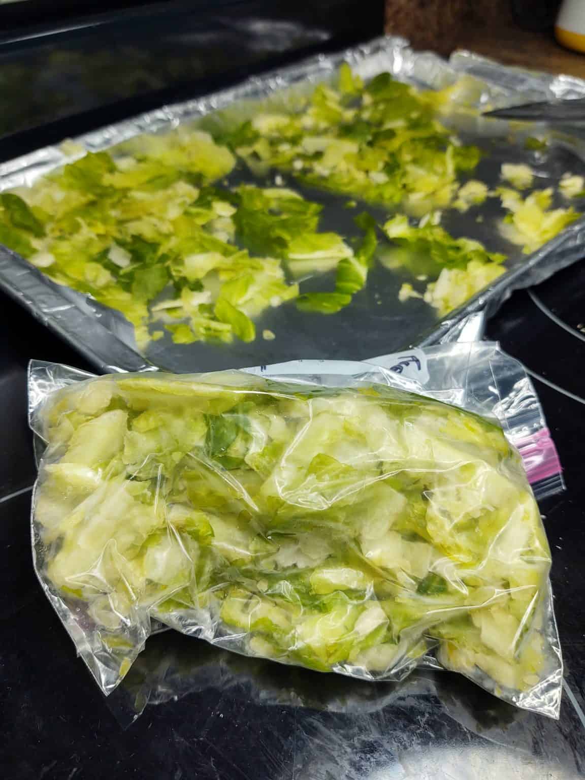 Can You Freeze Lettuce? | Mranimal Farm