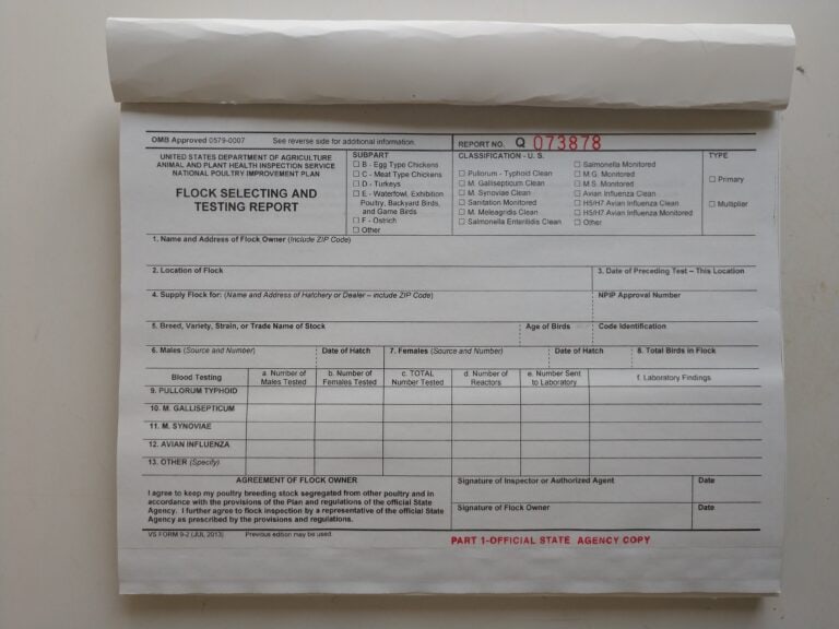 NPIP Certification - What Does It Mean & How to Get it? - Mranimal Farm
