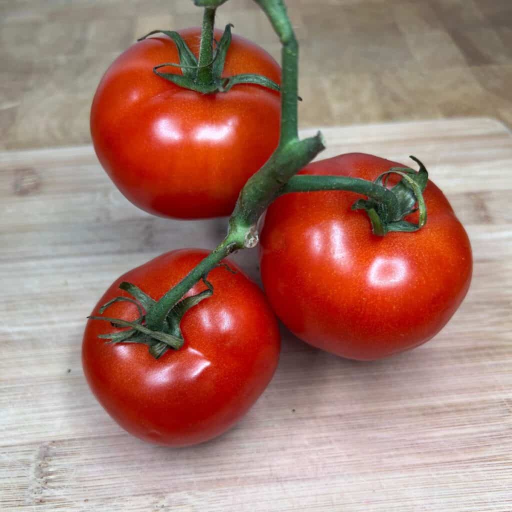 What To Do With Lots of Tomatoes - Mranimal Farm