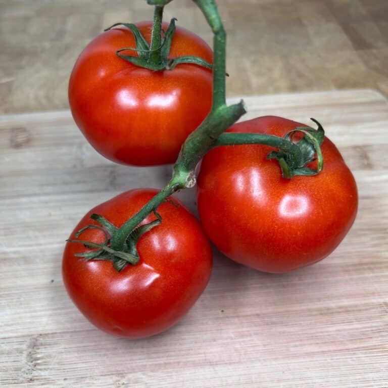 What To Do With Lots of Tomatoes - Mranimal Farm