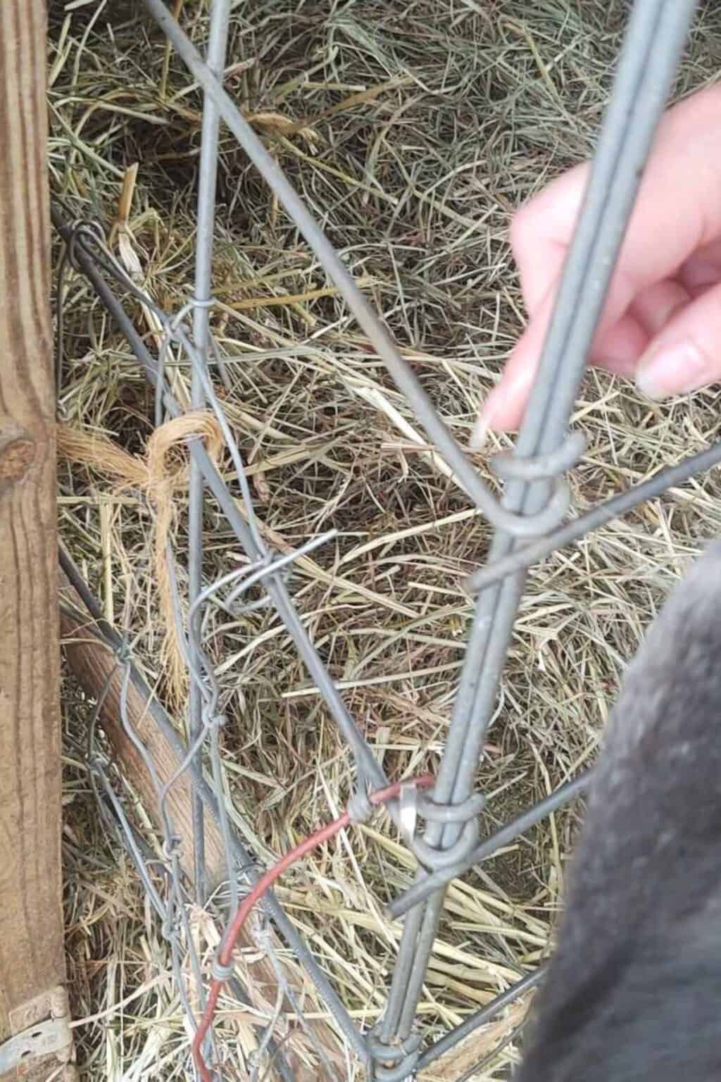 DIY Goat Hay Feeder Ideas - Mranimal Farm