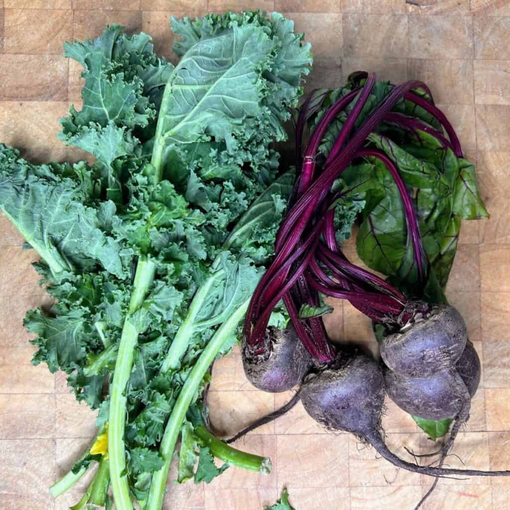 15+ Winter Garden Crops to Grow All Year - Mranimal Farm